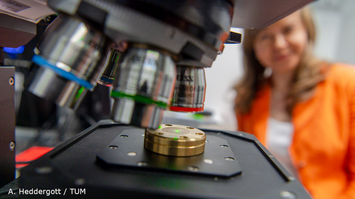Tum News Release Automated Analysis Of Microplastics Institut Für