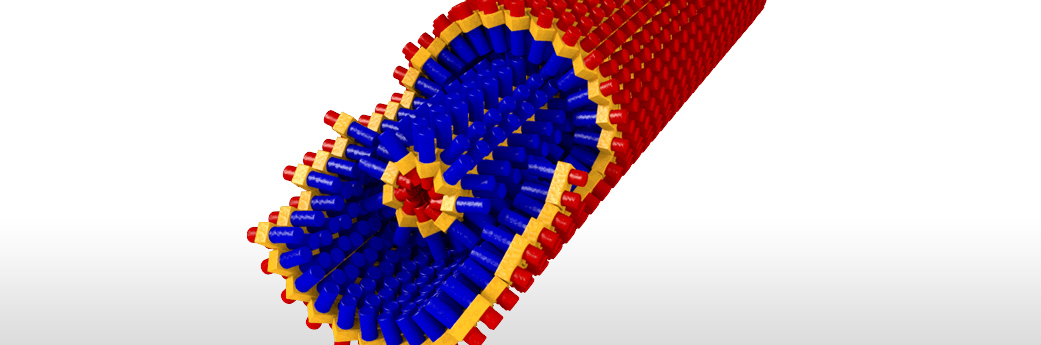 Molecular J Aggregates - Professur für Dynamische Spektroskopien